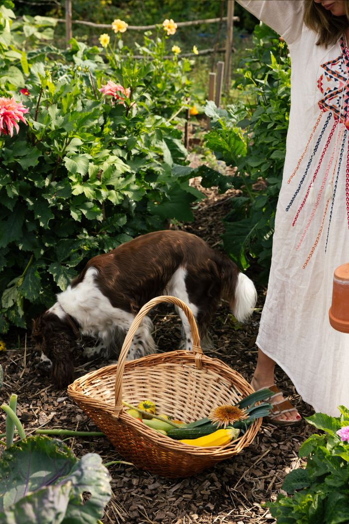 Home visit with Krusenbergs odlarna