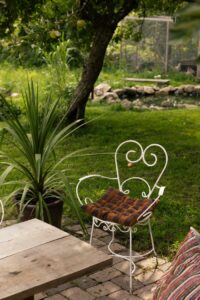 Home visit with Krusenbergs odlarna