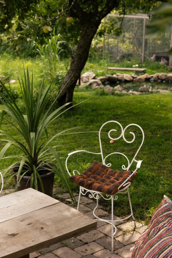 Home visit with Krusenbergs odlarna